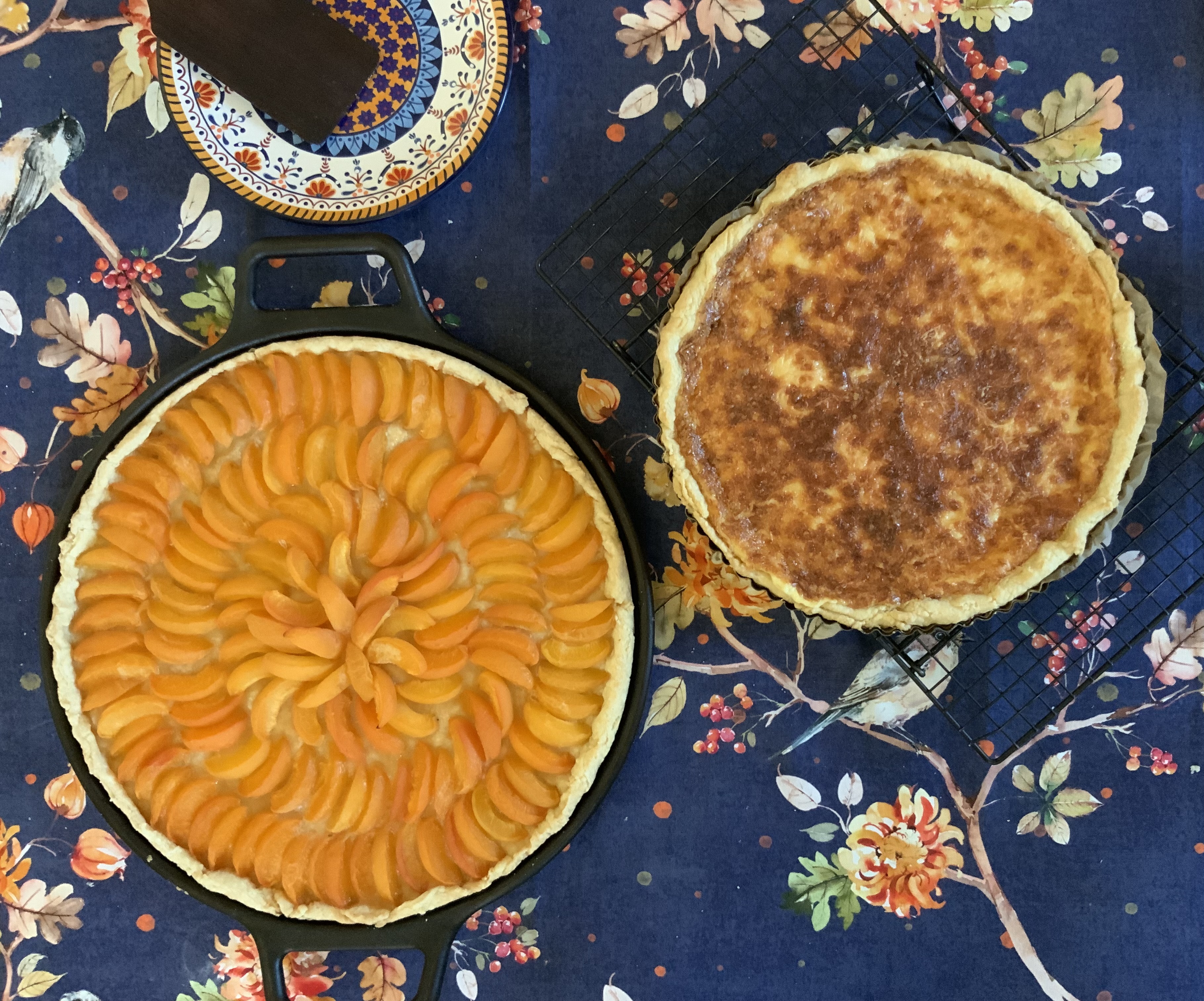 Breakfast, Brunch, Lunch, Supper, and First Courses – thefoodlessprocessed
